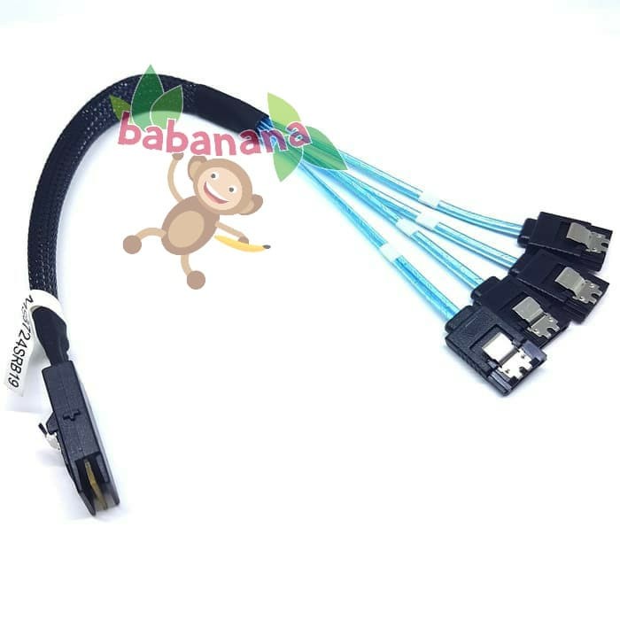 Jual Mini SAS 4i SFF-8087 36-Pin Male to 4 SATA Data Splitter Adapter Cable | Shopee Indonesia