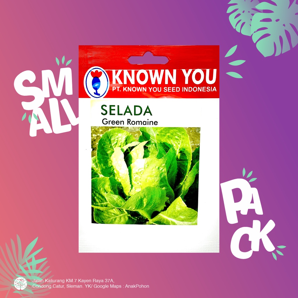 Jual (1 PACK) Benih Selada Green Romaine Lettuce - Known You Seed KYS - 5 GRAM | Shopee Indonesia