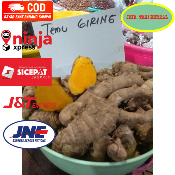 Jual TEMU GIRING 1KG KONDISI SEGAR | Shopee Indonesia