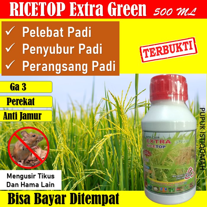 Jual Pupuk Penyubur Padi Ricetop Extra Green 500 ML - Ricetop Pupuk Pelebat Padi Paling AMPUH ...