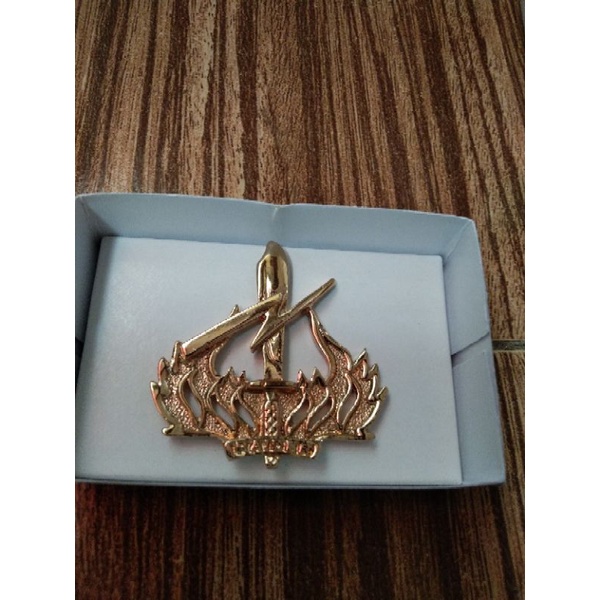 Jual brevet wing pin lencana raider pdh tni ada | Shopee Indonesia