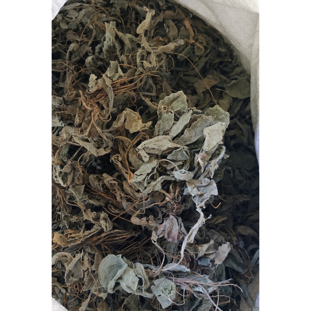 Jual Tapak Liman Kering Alami 250gr (Elephantopus scaber) | Shopee ...