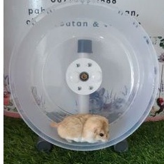 Jual roda hamster besar diameter 25cm | Shopee Indonesia