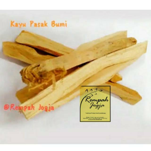 Jual KAYU PASAK BUMI | REMPAH HERBAL | REMPAH TRADISIONAL | 100% PRODUK ...