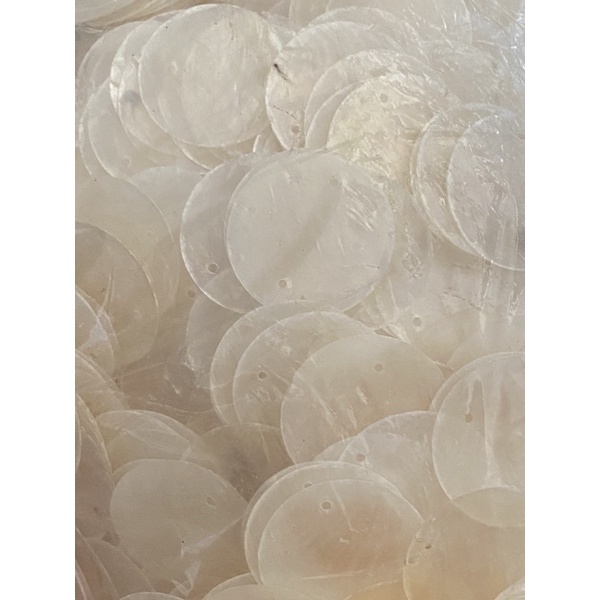 Jual kerang simping 7cm besar | Shopee Indonesia