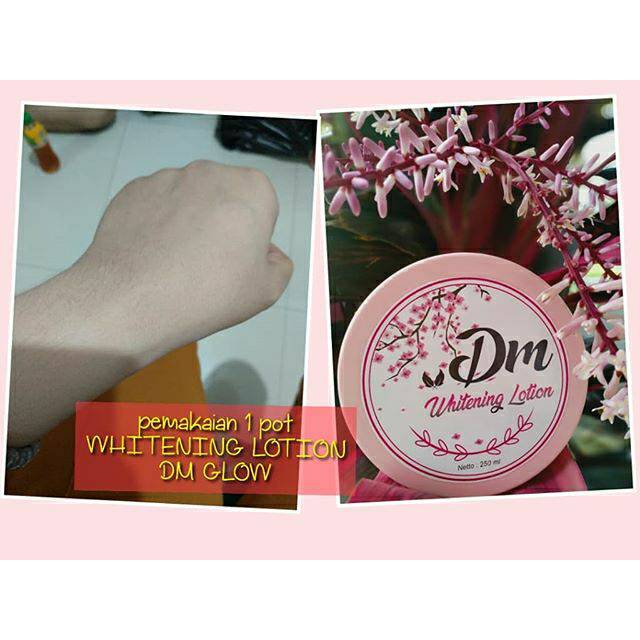 Jual WHITENING LOTION DM GLOW | Shopee Indonesia