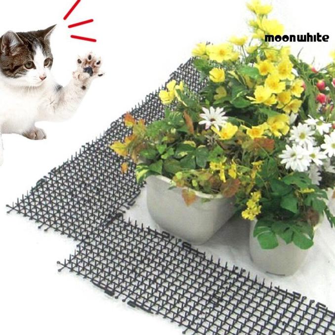 Jual garpu taman/ Alas Jaring Perangkap Kucing Ukuran 30cm X 2m Untuk ...