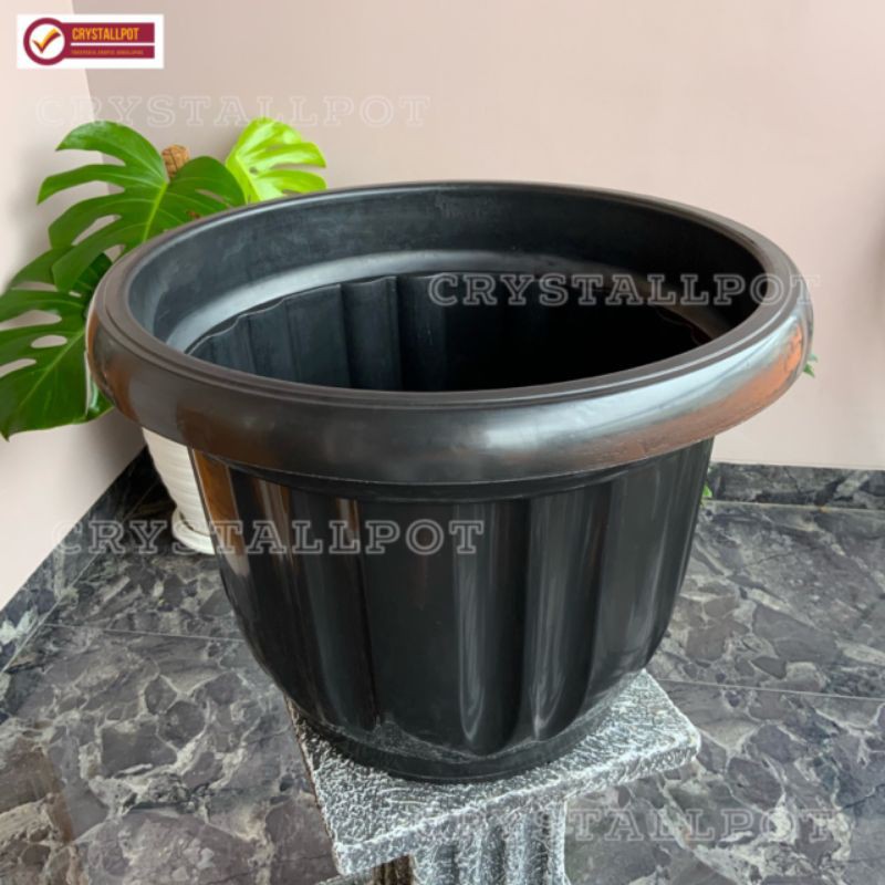 Jual POT BUNGA TANAMAN PLASTIK 50 HITAM KUPING BAHAN TEBAL - JUMBO 50 ...