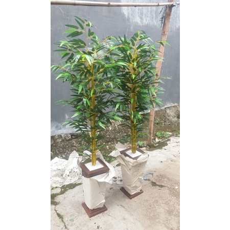 Jual bunga sudut bambu rimbun | Shopee Indonesia