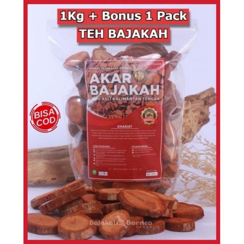 Jual AKAR KAYU BAJAKA TAMPALA MERAH.siap seduh obat tumor | Shopee ...