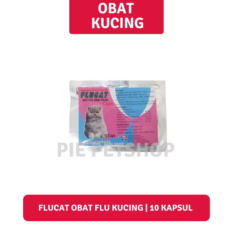 Jual Obat kucing - Flucat obat flu kucing | 10 kapsul | Shopee Indonesia