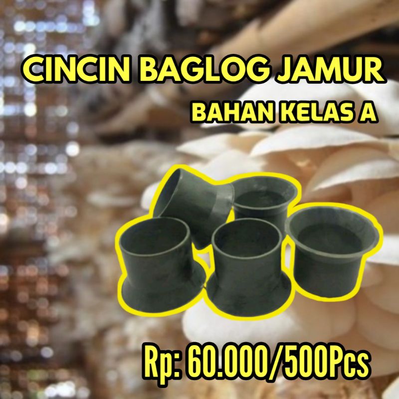 Jual RING BAGLOG JAMUR TIRAM / CINCIN JAMUR BAGLOG RANDOM / RING JAMUR ...