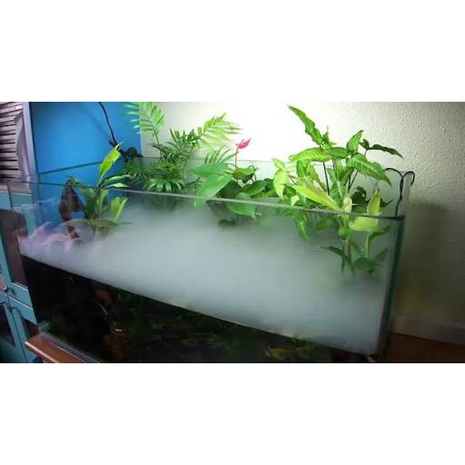 Jual mesin kabut mist maker t untuk kolam,aquascape,paludarium ANTI ...