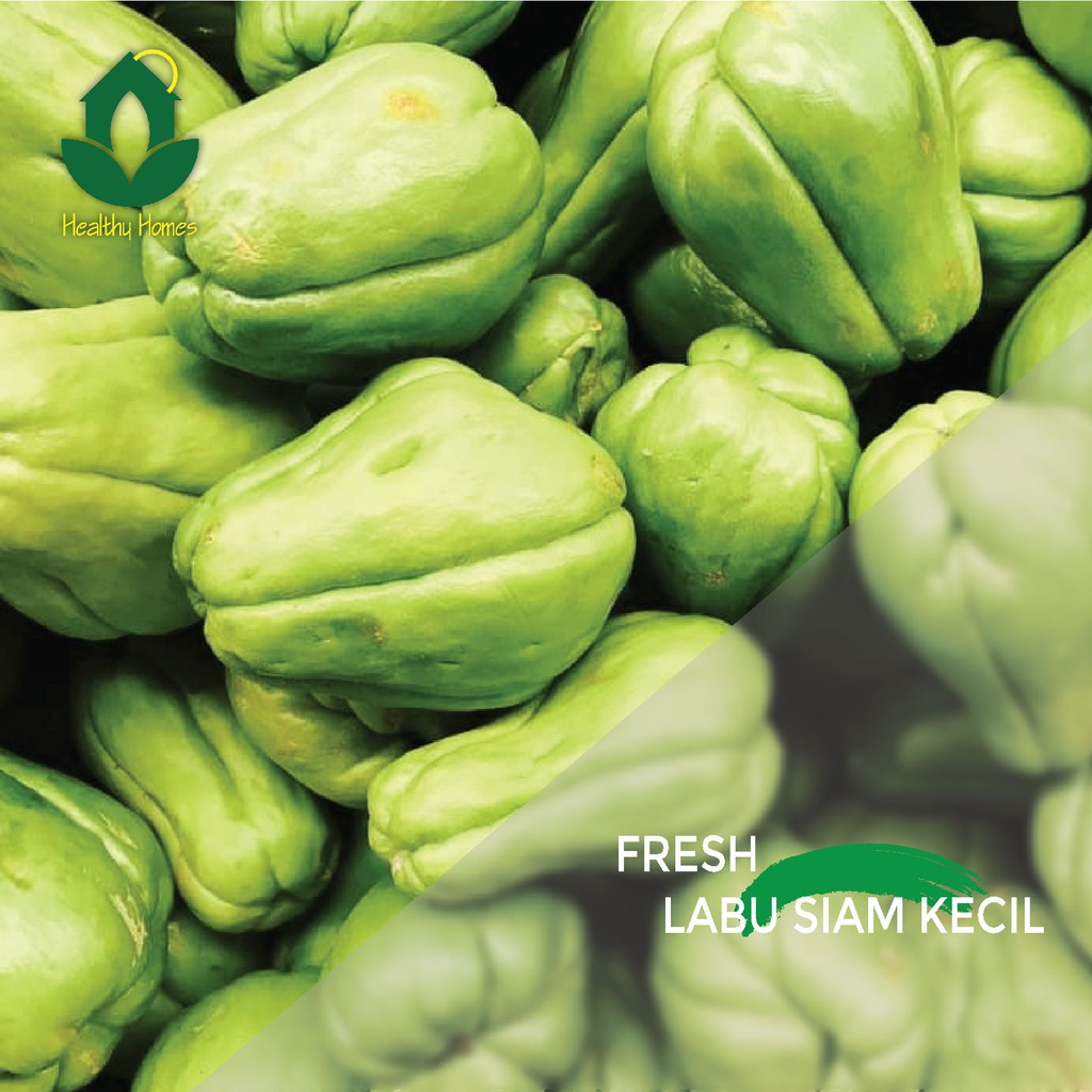 Jual Labu Siam Kecil Segar Jabodetabek | Shopee Indonesia