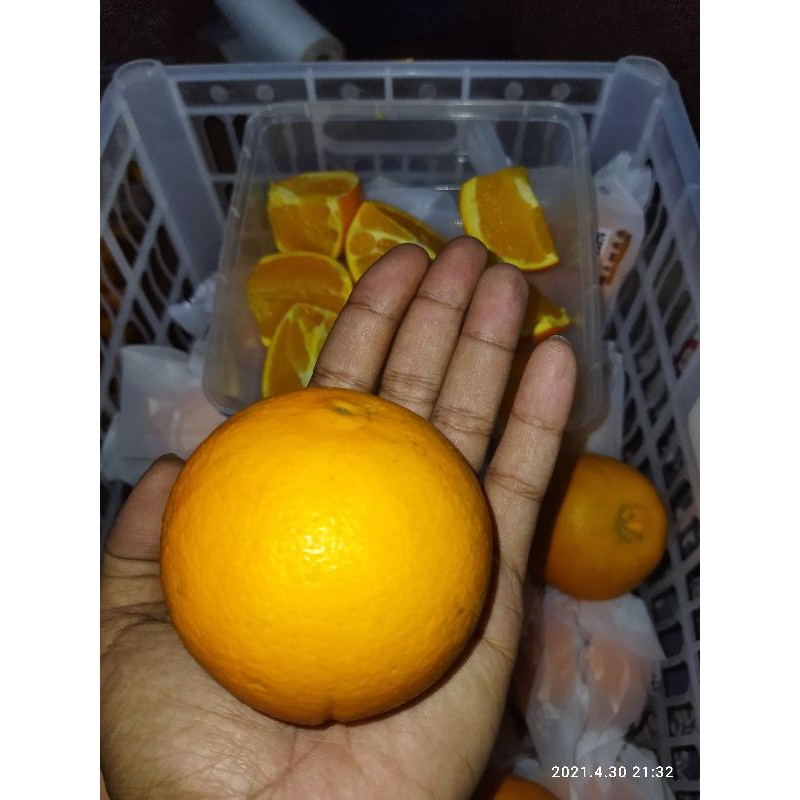 Jual Jeruk Sunkist Navel China RRC | Shopee Indonesia