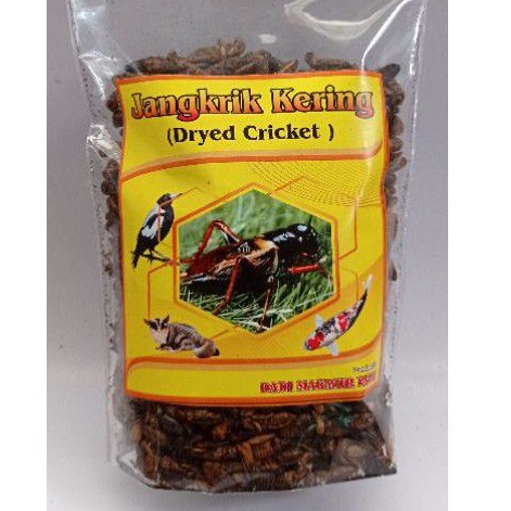 Jual Jangkrik kering 500 gram pakan ikan koi arowana sugar gilder ...
