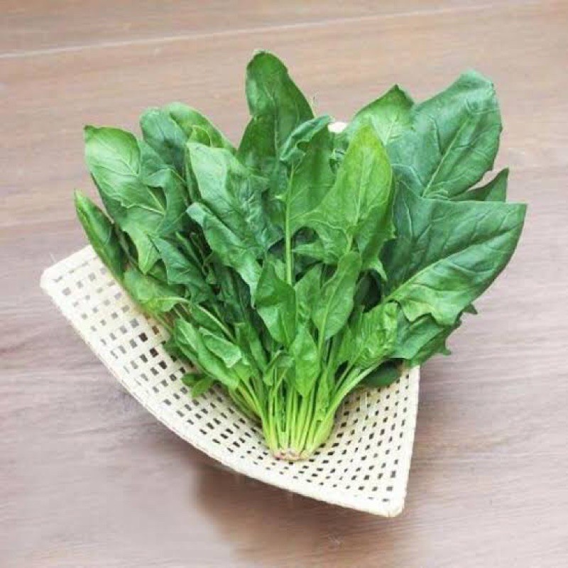 Jual Bayam Jepang Organik 200g | Shopee Indonesia