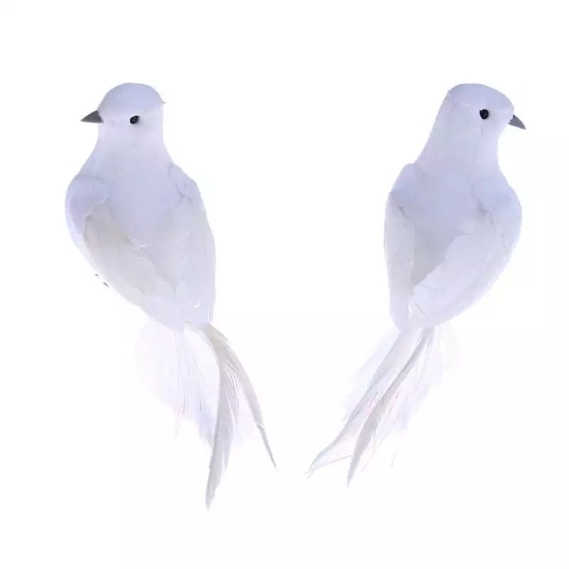 Jual Merpati Hias Terlengkap & Harga Terbaru Juni 2026 | Shopee Indonesia