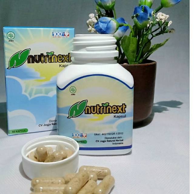 Jual STIKER Stroke Struk Kolesterol Lumpuh Sebelah | Shopee Indonesia