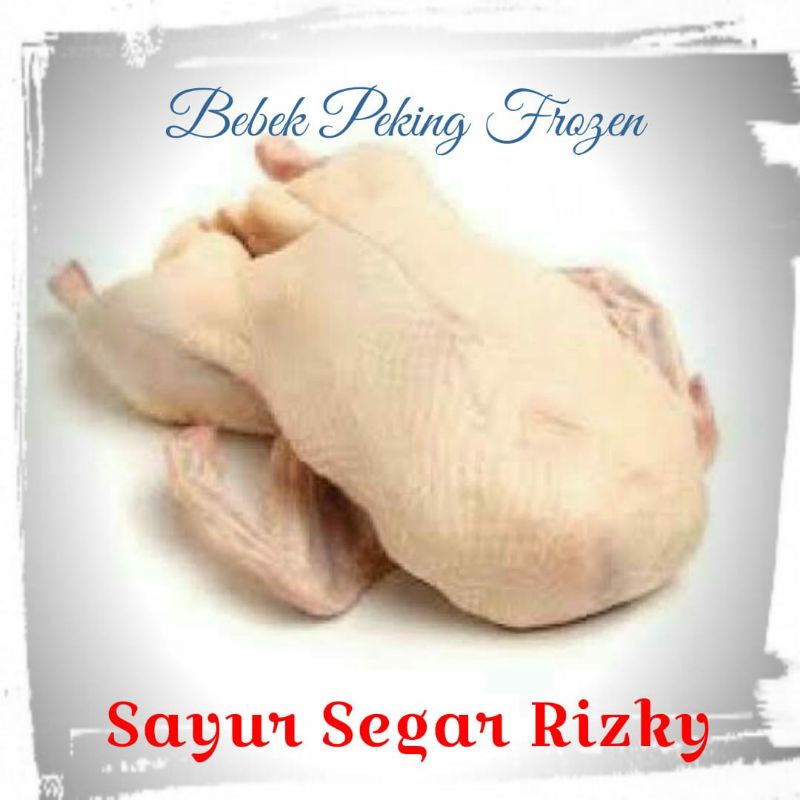 Jual Bebek Peking Frozen | Shopee Indonesia