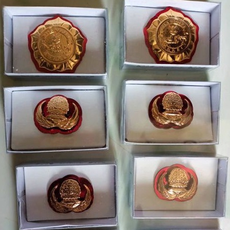 Jual Pin Bela Negara PNS | Shopee Indonesia