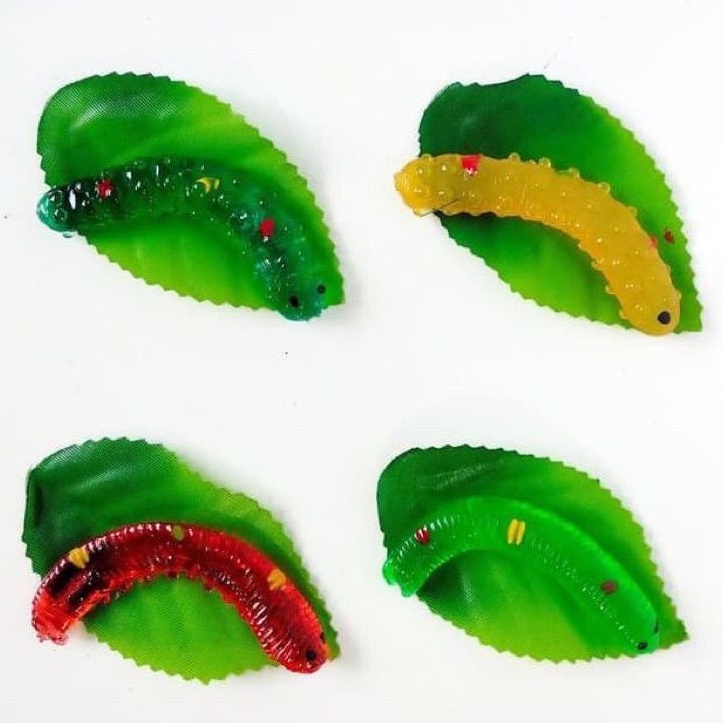 Jual Sticky ulat bulu di daun satuan | Shopee Indonesia