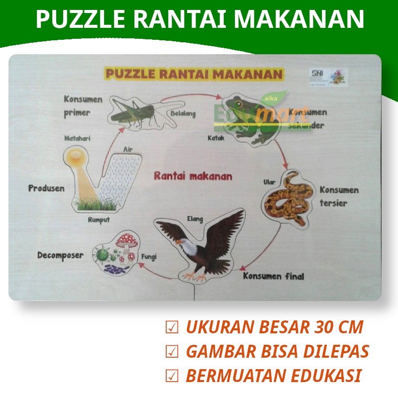Jual Puzzle Rantai Makanan Puzle Ape Edukasi Edukatif Anak Rumah Tk Sd ...