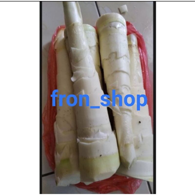 Jual REBUNG BAMBU SAYUR SEGAR| REBUNG BAMBU MUDA (1KG) | Shopee Indonesia