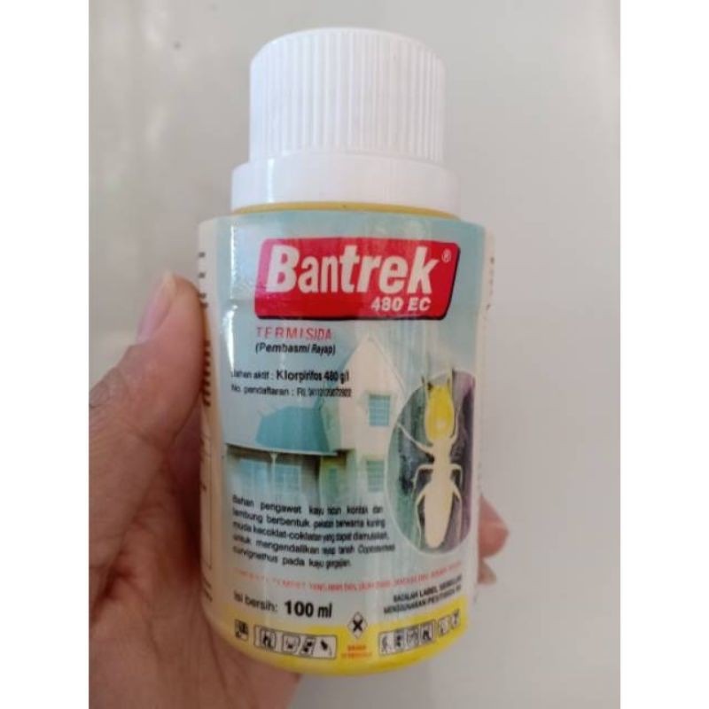 Jual BANTREK 480 EC TERMISIDA (Pembasmi Rayap) 100ml | Shopee Indonesia