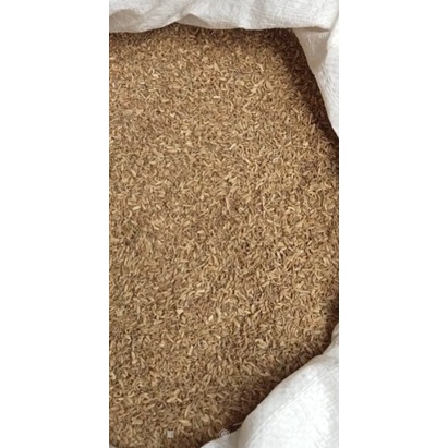 Jual ADAS PUTIH | Shopee Indonesia