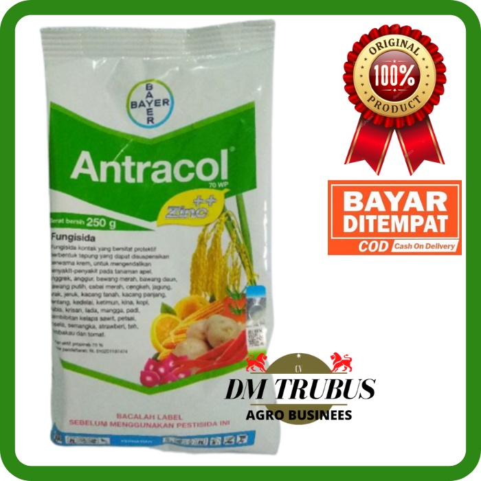 Jual FUNGISIDA ANTRACOL 70 WP + ZINC 250 GRAM BAYER | Shopee Indonesia