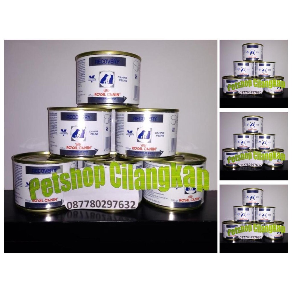 Jual royal canin recovery 195gr rc recovey makanan kucing sakit royal ...