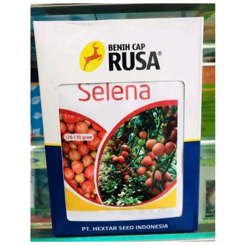 Jual Benih TOMAT SELENA F1/10 gram- CAP RUSA | Shopee Indonesia