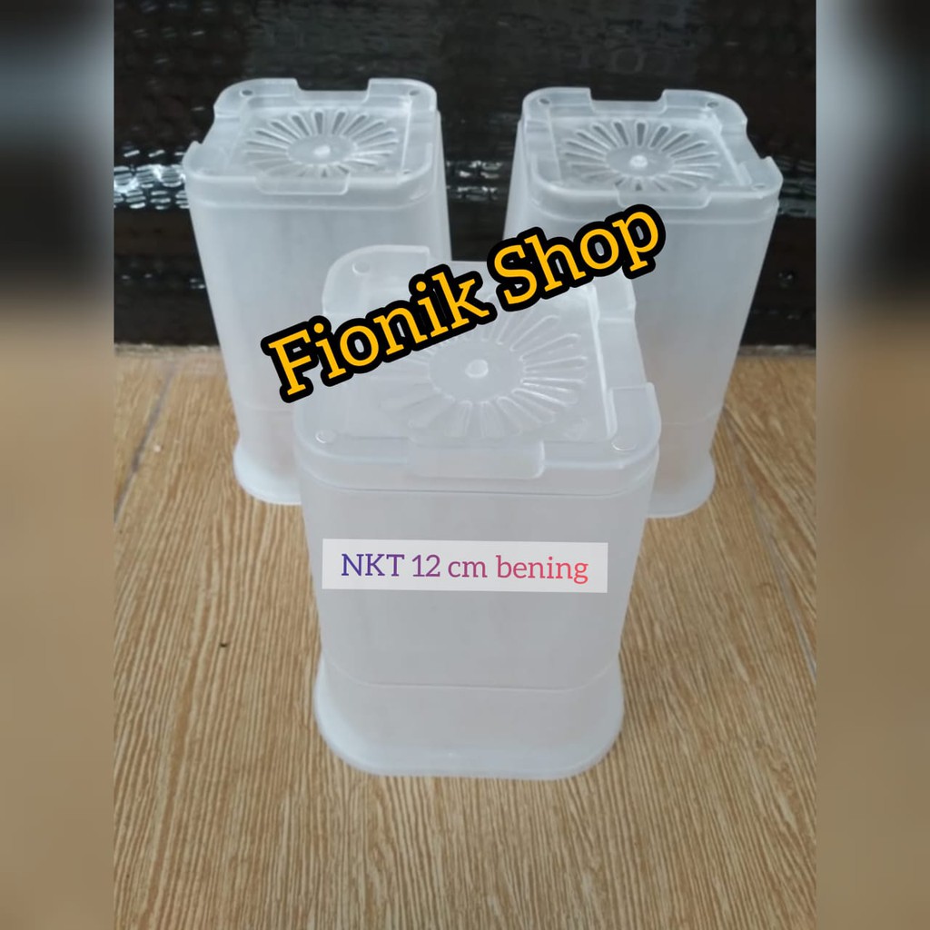 Jual POT NKT 12 BENING - POT 12 - POT BENING | Shopee Indonesia