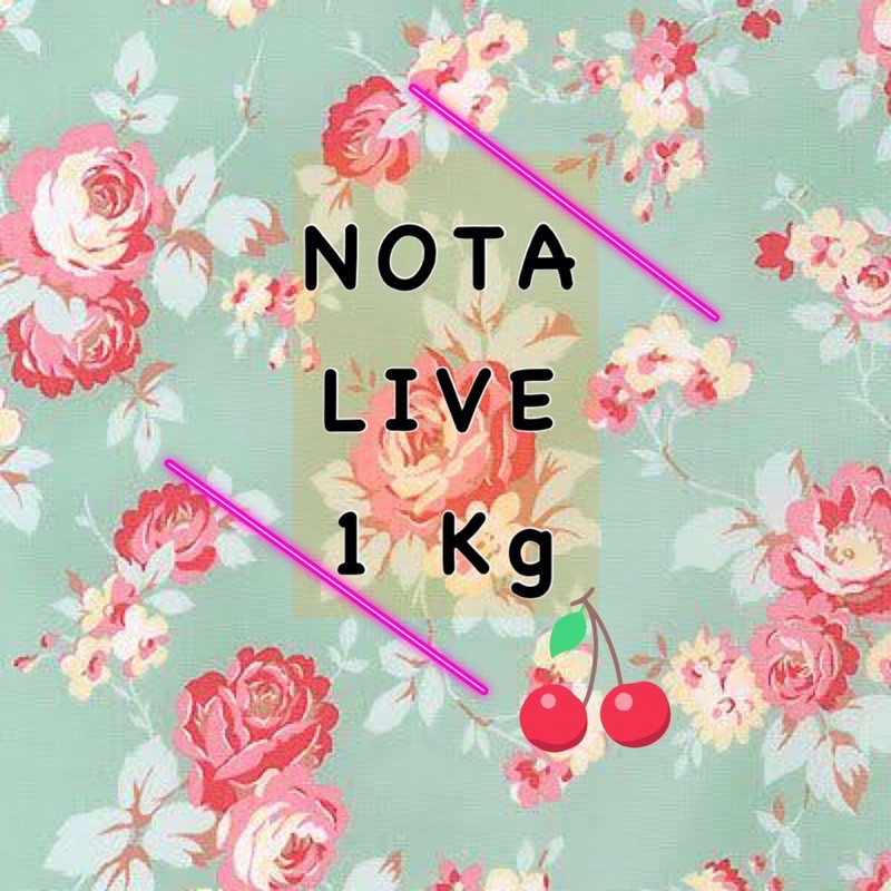 Jual NOTA LIVE 1 KG | Shopee Indonesia