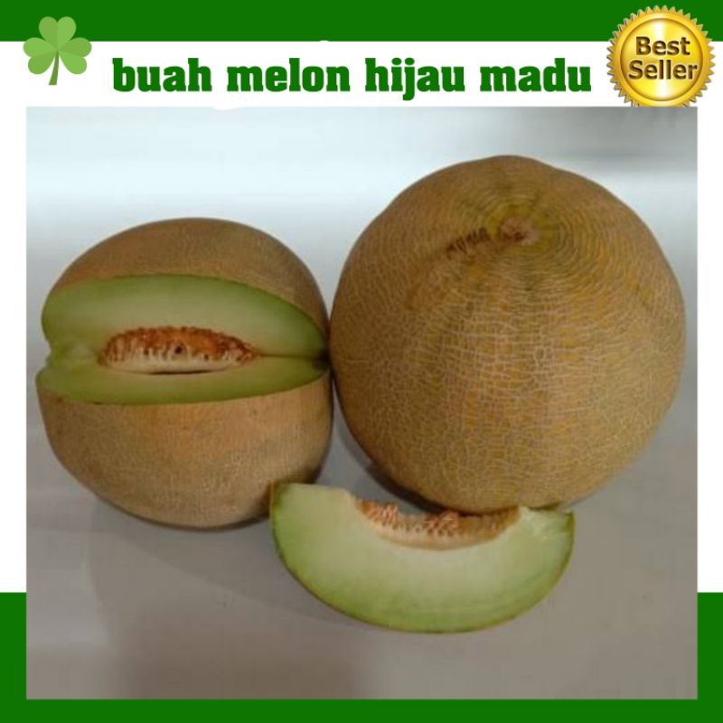 Jual buah melon hijau madu 1buah berat 2 kg bisa lebih 1buah utuh ) | Shopee Indonesia