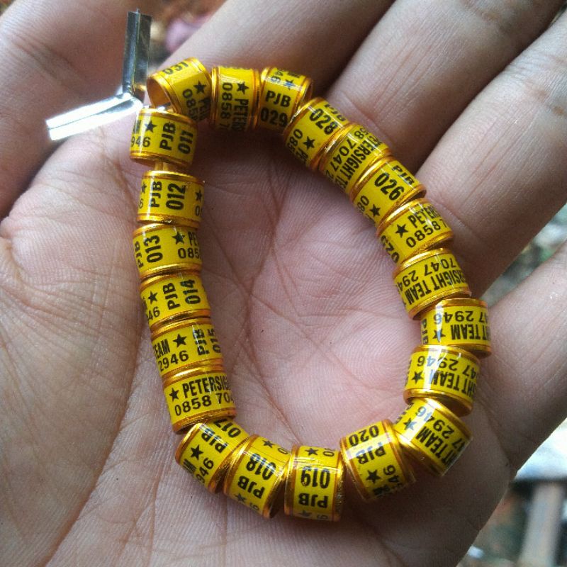 Jual RING MERPATI RODA STANDARD CUSTOM NAMA | Shopee Indonesia