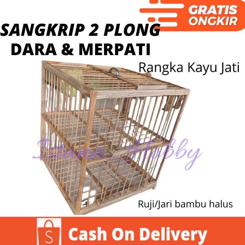 Jual SANGKRIP MERPATI, DARA 2 PLONG | Shopee Indonesia