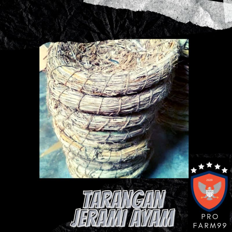 Jual Tarangan Jerami Ayam Murah | Shopee Indonesia