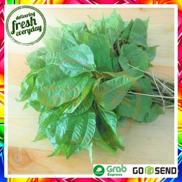 Jual DAUN POHPOHAN / LALAPAN - PER IKAT | Shopee Indonesia