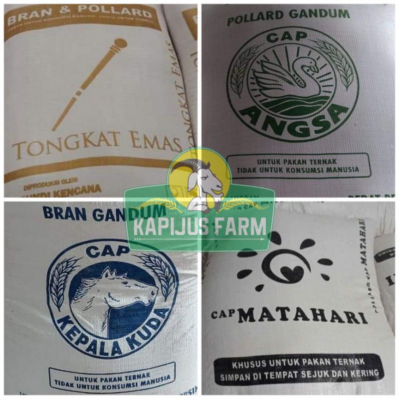 Jual Polar Gandum Berkualitas / Polar Angsa / Polar Matahari / Polar ...