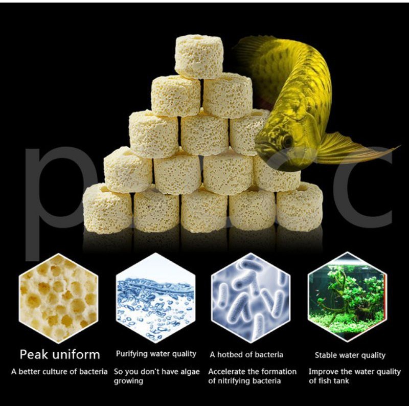 Jual BIO RING SUPER PENURUN PH / BIORING KUNING 500GR IMPORT QUALITY ...