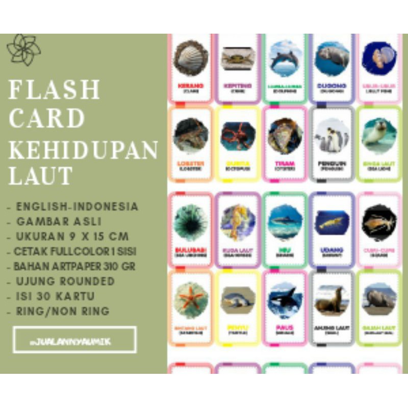 Jual Flashcard Kehidupan Laut/Binatang Laut | Shopee Indonesia