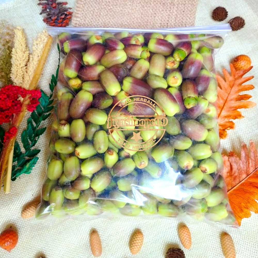 Jual bunga arean segar muda 1-KG buang aren kawung atau langari khusus ...