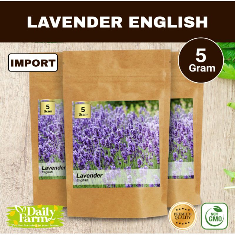 Jual Benih Bunga Lavender English - Bibit Lavender ( 5 Grm ) | Shopee ...