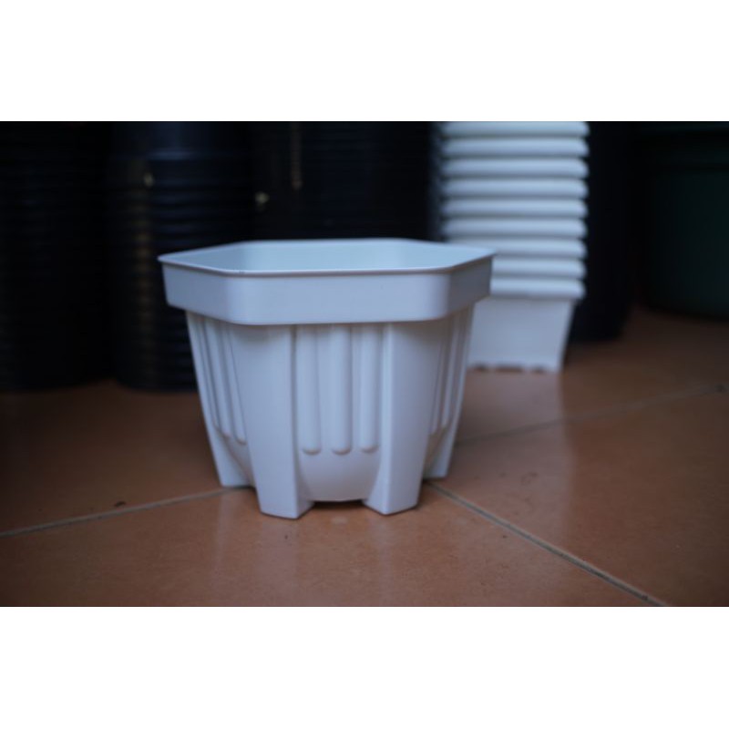 Jual Pot Hexa 20 Pacific Warna Putih | Shopee Indonesia