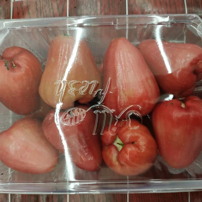 Jual Jambu air Cincalo Lilin 1kg | Shopee Indonesia
