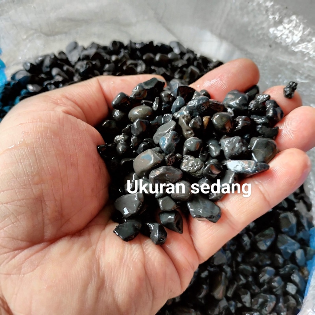 Jual Batu Alor bali / Batu Hitam / Aquascape / 500gr | Shopee Indonesia