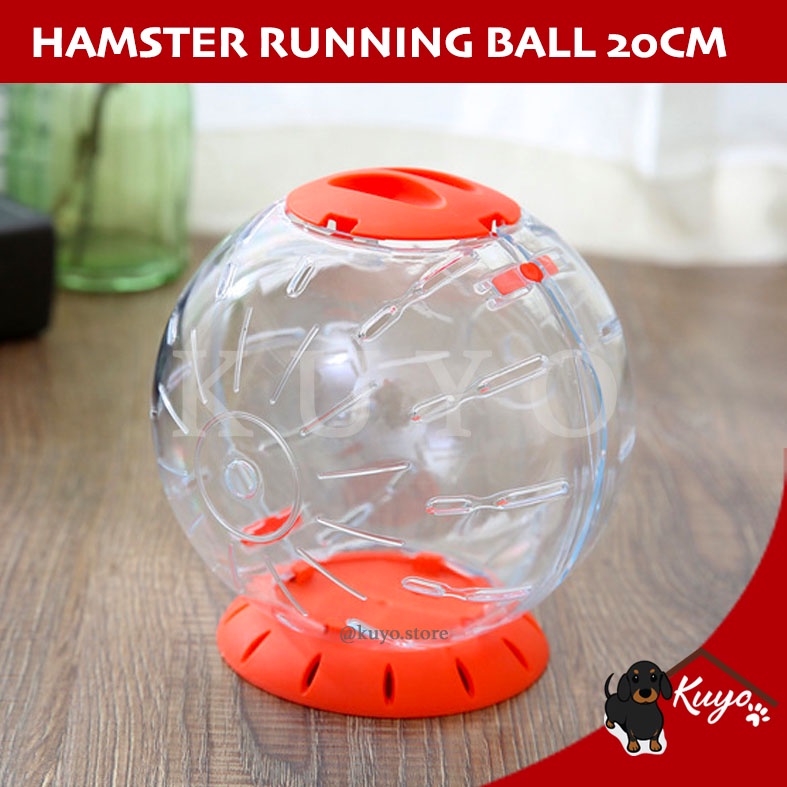 Jual Running Ball Big Large 20cm Premium - Mainan Hamster Lari Roda ...