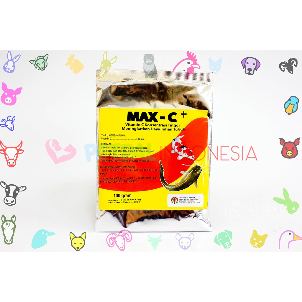 Jual MAX C Plus Vitamin C Konsentrasi Tinggi Meningkatkan Daya Tahan ...